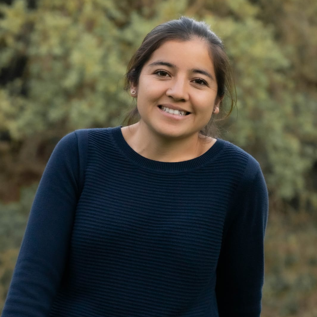 Publications - Alma Poceros Coba